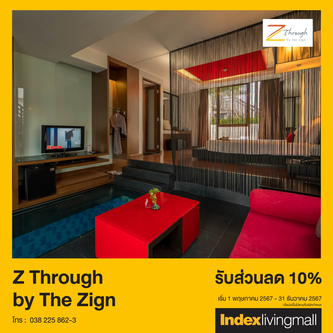 Z Through by The Zign